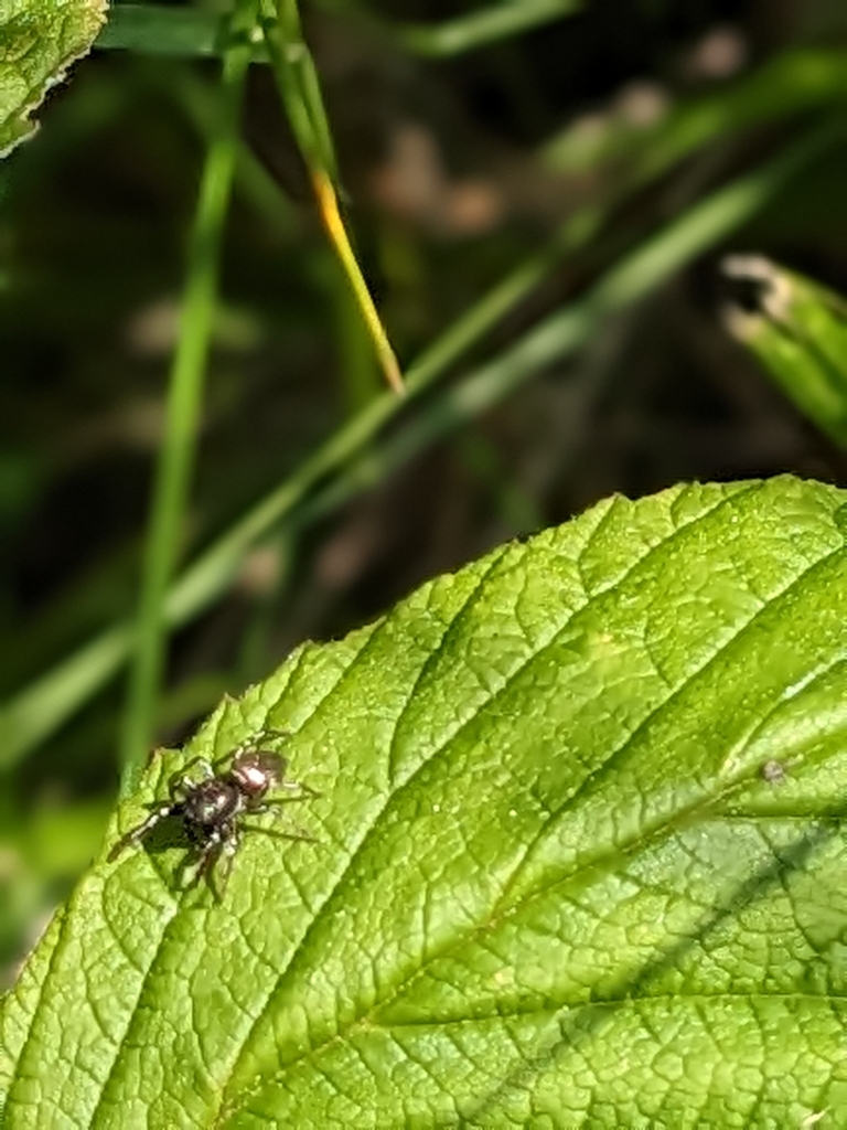 Copper Sun Jumper from Rue des Bleuets on May 28, 2023 at 11:54 AM by ...