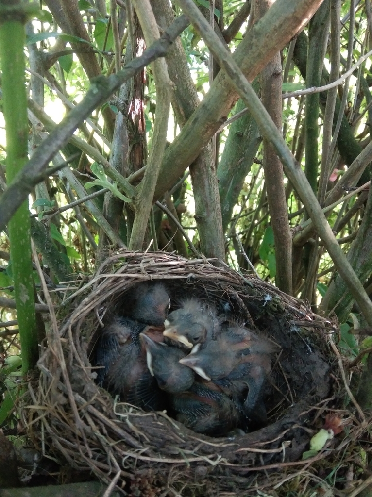 Something from 14190 Ouilly-le-Tesson, France on May 29, 2023 at 07:55 ...