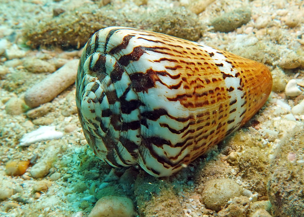 The Captain Cone from Point Murat, Exmouth, WA, Australia on May 31 ...