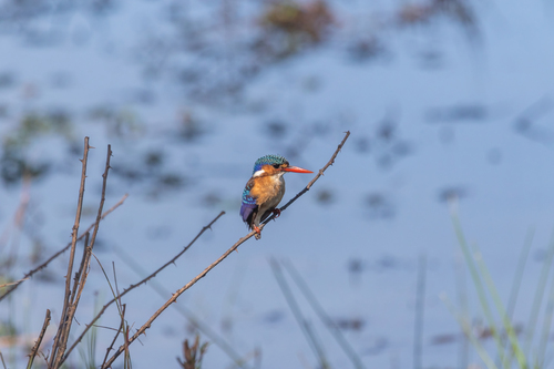 Observations by decklan · iNaturalist