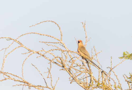 Observations by decklan · iNaturalist