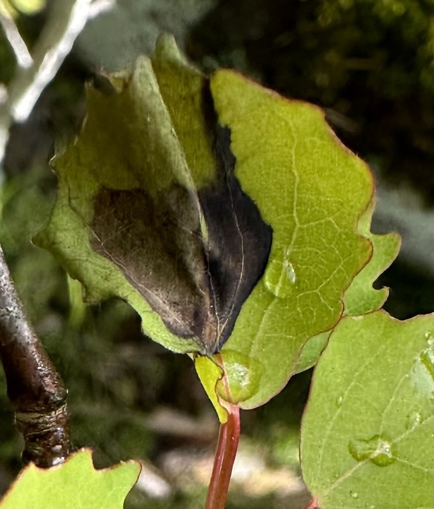 Life from Mustikkamaa, Helsinki, 18, FI on June 2, 2023 at 04:48 PM by ...