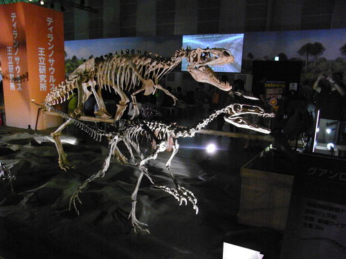 Familia Proceratosauridae · iNaturalist Mexico
