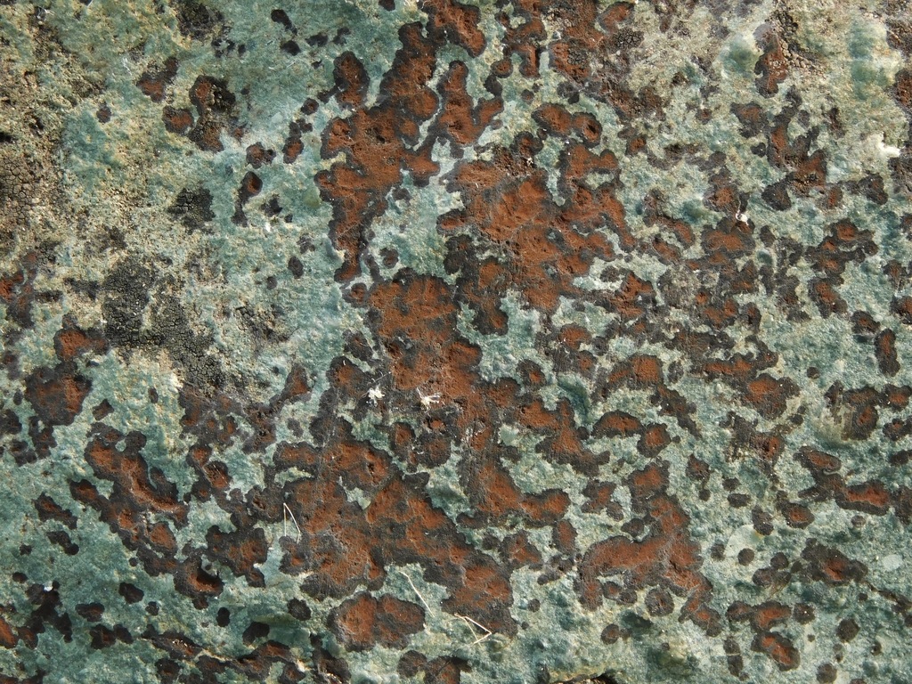 rusty rock in June 2023 by Michael J. Papay · iNaturalist