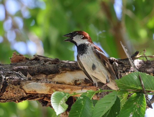 Observations by mrp123 · iNaturalist