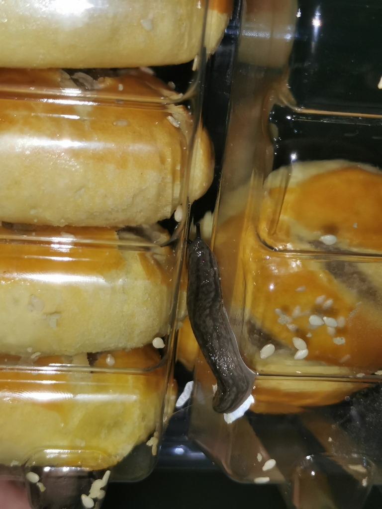 Chinese Slug from Wuhan, CN-HU, CN on June 2, 2023 at 10:57 PM by ...