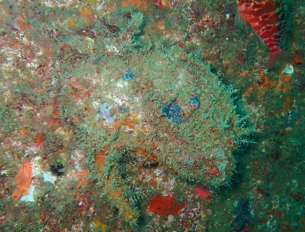 life from Sunshine Coast QLD, Australia on March 10, 2023 at 10:46 AM ...