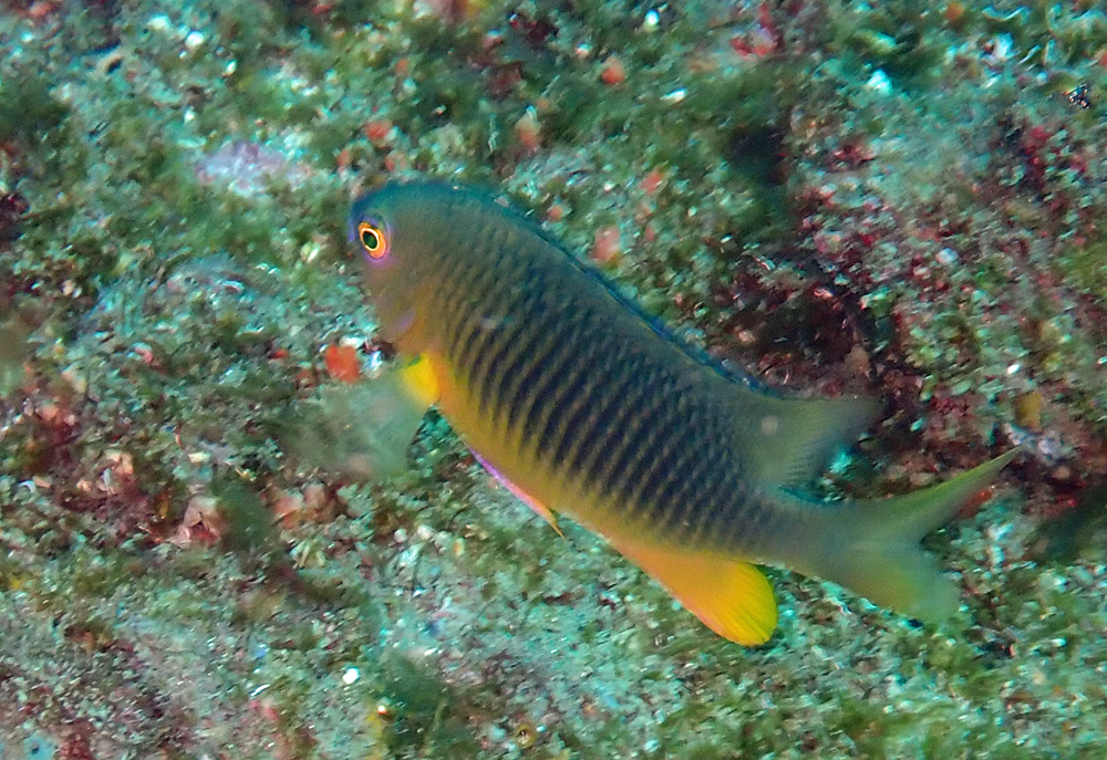 Something from Sunshine Coast QLD, Australia on October 7, 2022 at 09: ...