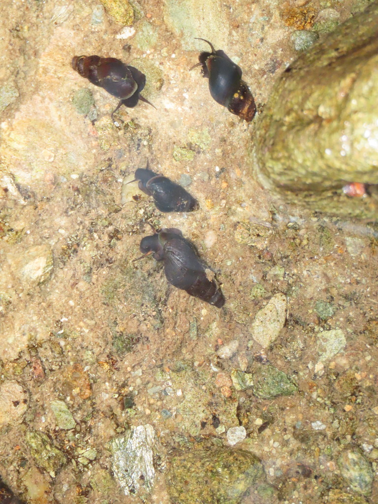 Juga from Avery, North Carolina, United States on June 18, 2023 at 11: ...