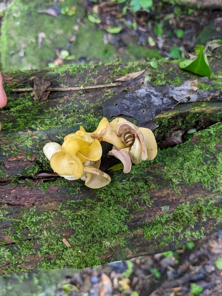 Life from Iguazú Department, Misiones Province, Argentina on May 7 ...