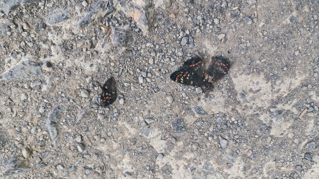 Chalinga pratti from 山西省长治市沁源县灵空山镇灵空山东钟楼户外劳动者爱心驿站 on June 24, 2023 at ...