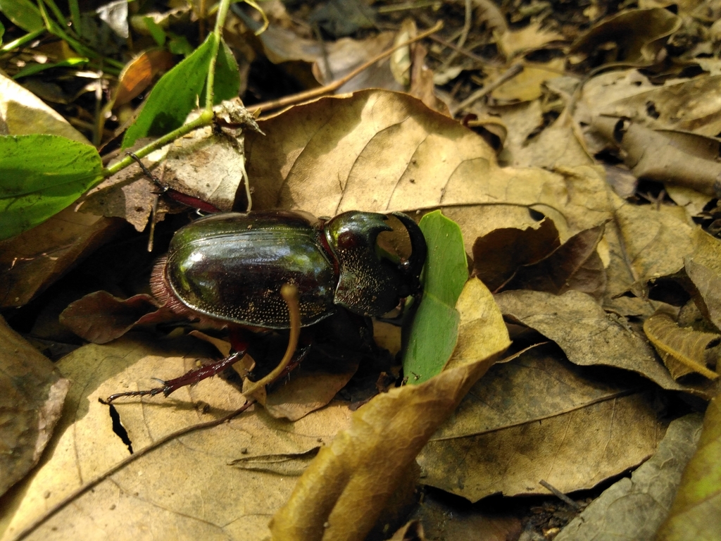 Enema pan from 94464 Ver., México on July 1, 2023 at 10:15 AM by Carlos ...