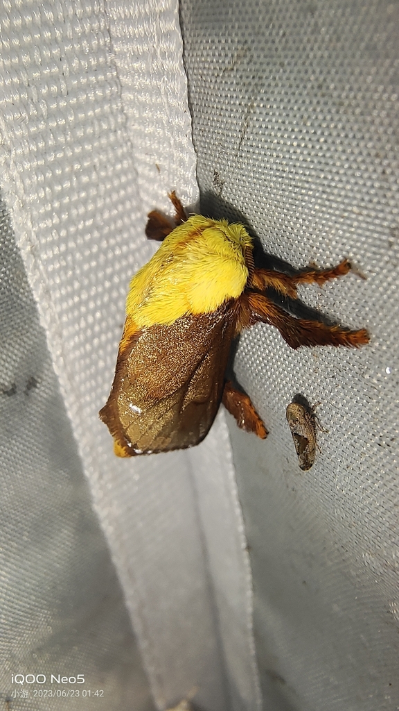 Miresa from Kunming, CN-YN, CN on June 23, 2023 at 01:42 AM by 游 ...