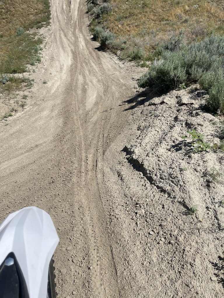 Gopher Snake from Eagle, ID, US on June 10, 2023 at 12:00 PM by ...