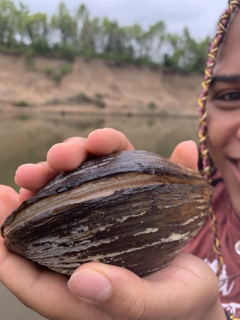 Plain Pocketbook from Meramec River, Eureka, MO, US on July 8, 2023 at ...