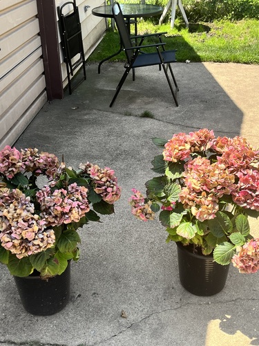 Observations by jstowel2 · iNaturalist