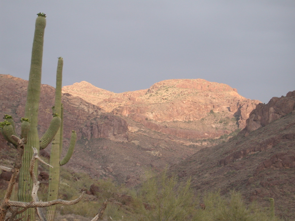 saguaro from Pima County, AZ, USA on May 29, 2003 at 06:46 PM by Cole ...