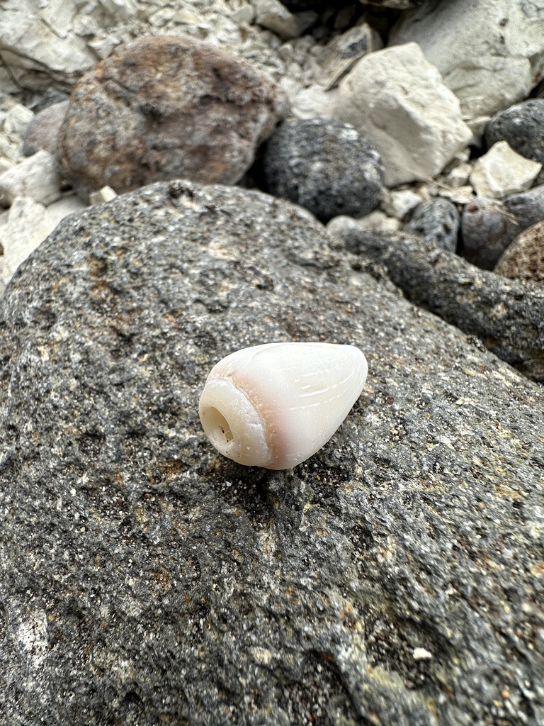 California Cone from Channel Islands National Park, CA, US on July 4 ...