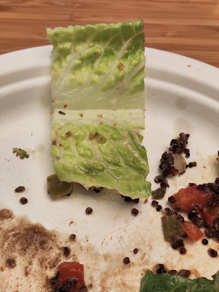 Insects from 2400 Durant Ave, Berkeley, CA 94704美国 on July 13, 2023 at ...