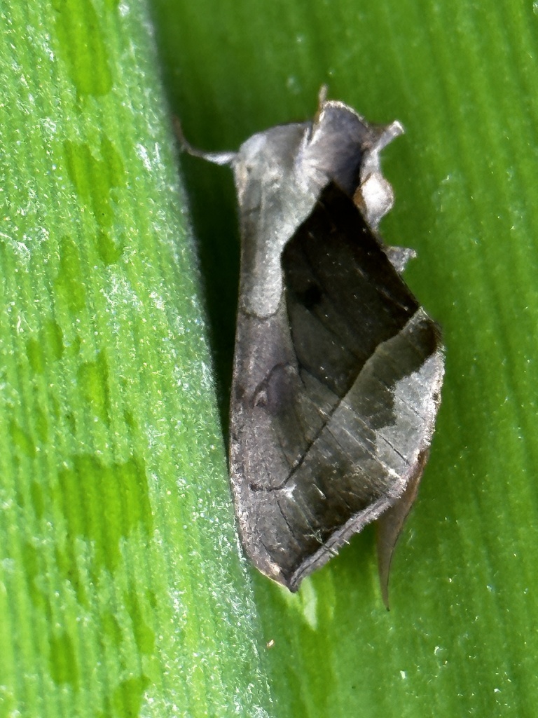 Something from Clanwilliam-Erickson, MB, CA on July 15, 2023 at 08:31 ...