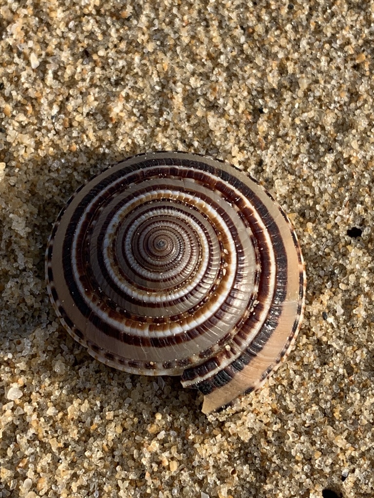 Clear Sundial from Trinity Bay, Palm Cove, QLD, AU on July 16, 2023 at ...