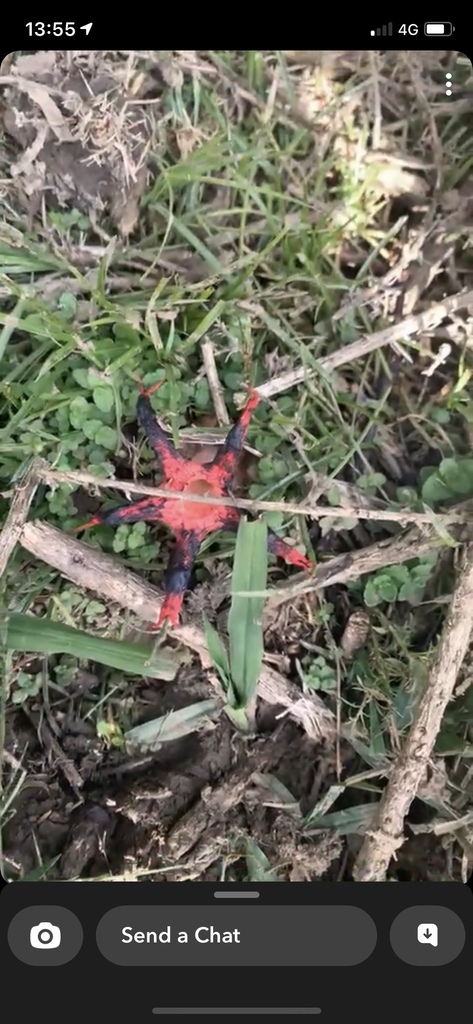 Something from North Island, Ruawai, Northland, NZ on July 17, 2023 at ...