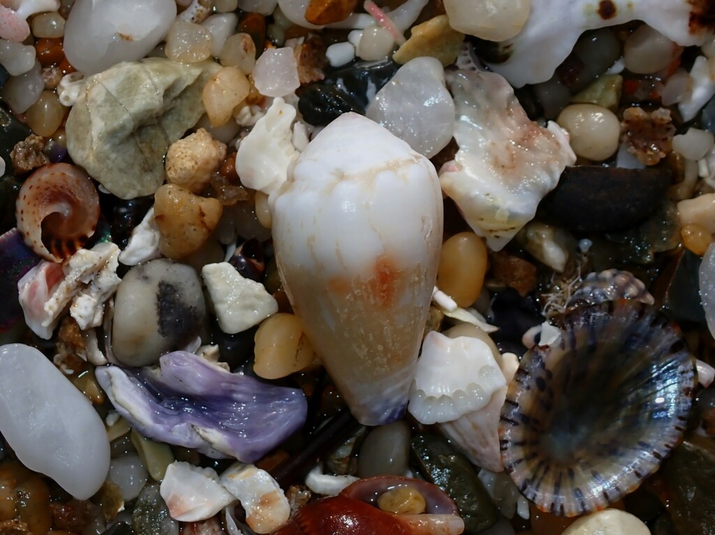 Music Cone from Barcoongere NSW 2460, Australia on July 18, 2023 at 11: ...