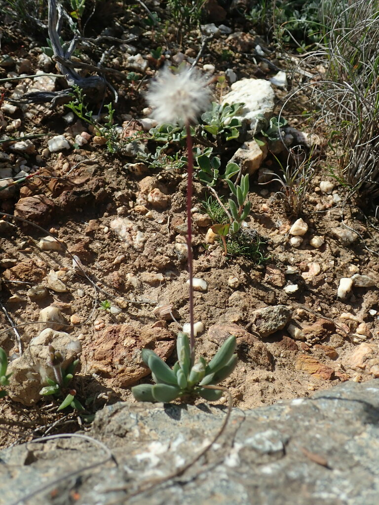 Toxic Beads from Overberg District Municipality, South Africa on July ...