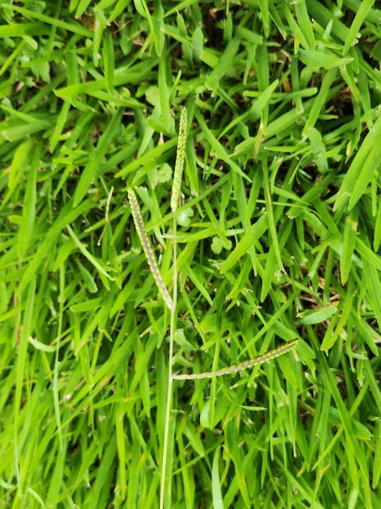 Taranui from 台灣台北 on July 19, 2023 at 12:53 PM by 胡正恆(Jackson Hu ...