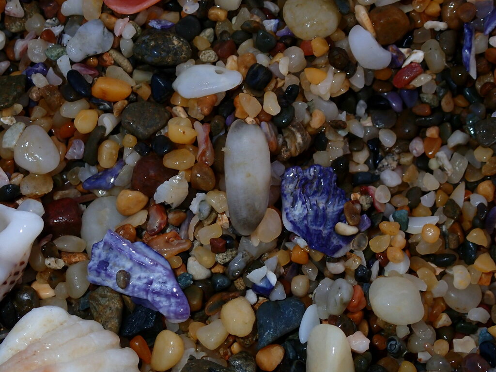 Mnestia arachis from Woolgoolga NSW 2456, Australia on July 25, 2023 at ...