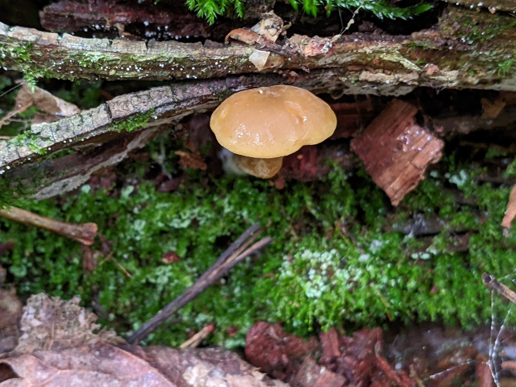 Olive Lute from Island Lake Recreation Area on July 14, 2023 at 10:40 ...