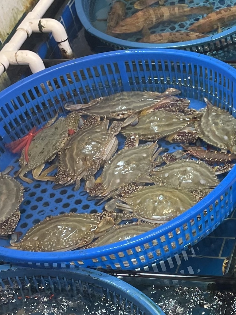 Asian Blue Swimming Crab from East China Sea, CN on July 24, 2023 at 09 ...