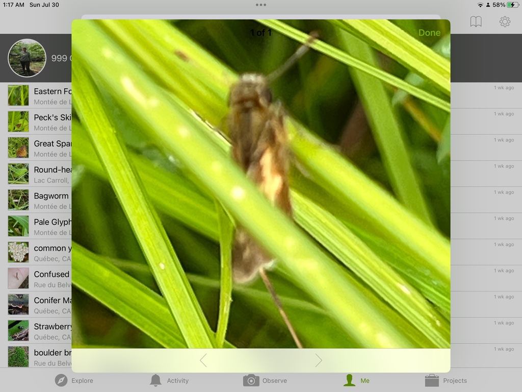 Long Dash In Outlook at Harry Brawner blog