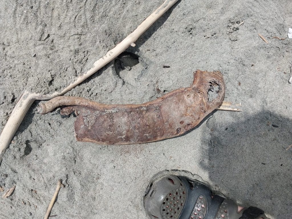 legumes from FHF5+P8Q, Boca de Briceño, Ecuador on July 30, 2023 at 01: ...