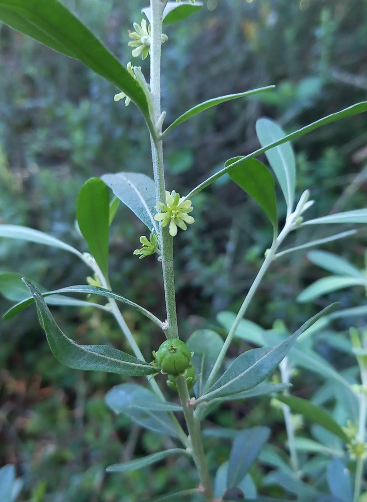 Cluts from Western District, South Africa on August 2, 2023 at 11:31 AM ...