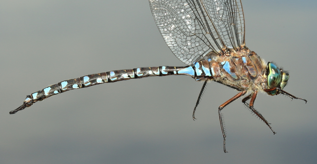 Lake Darner from Marais du parc côtier de Kiskotuk - secteur des ...