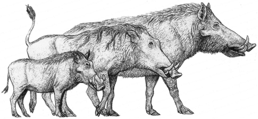 Giant Warthog (Metridiochoerus andrewsi) - Know Your Mammals