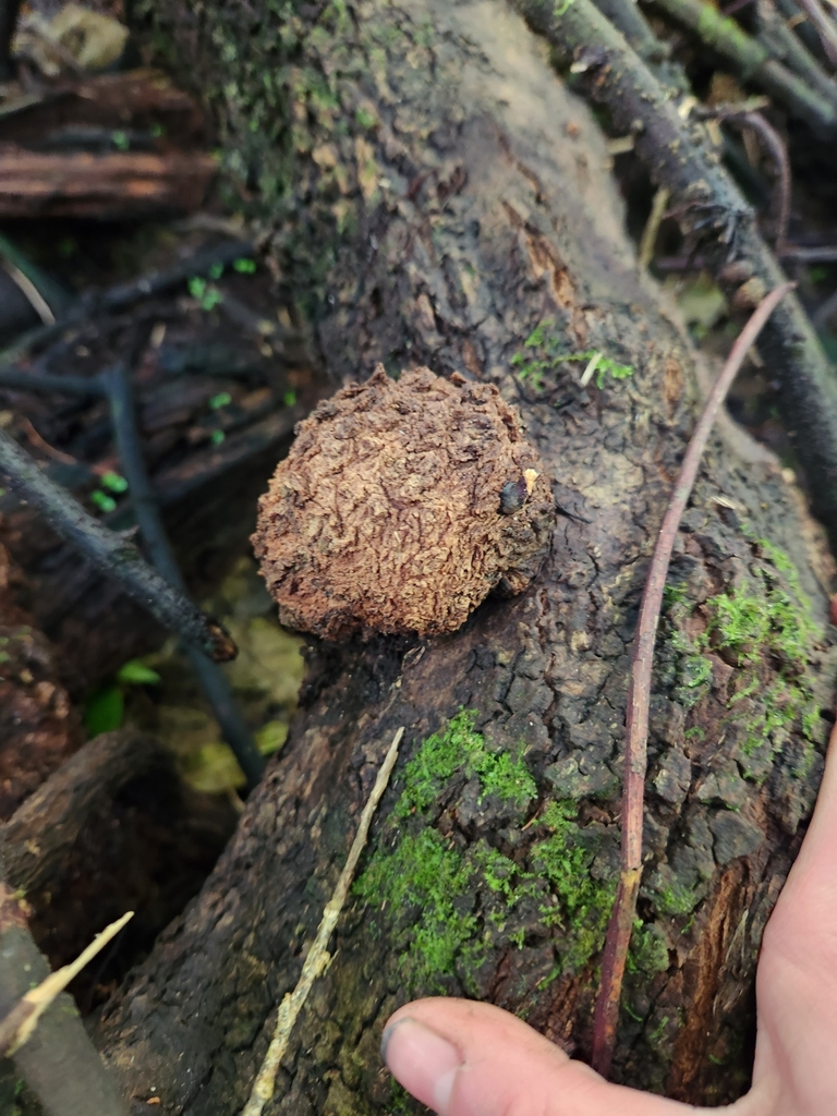 Life from Victoria Park on August 12, 2023 at 09:59 AM by Shariah ...