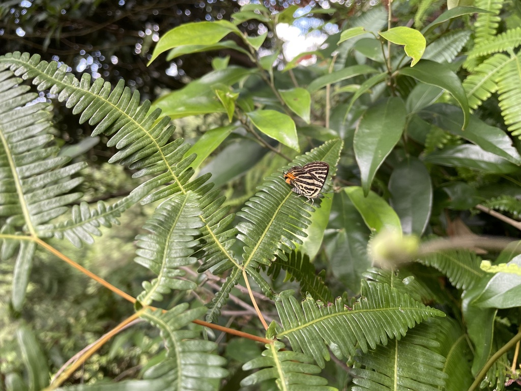 Club Silverline from 台灣苗栗縣 on August 10, 2023 at 11:47 AM by liushengyu ...
