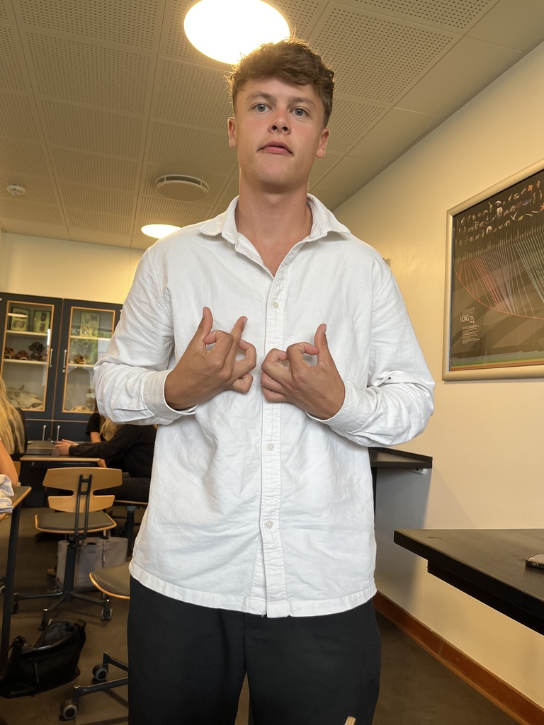 Human from Århus Statsgymnasium, Aarhus V, Region Midtjylland, DK on ...