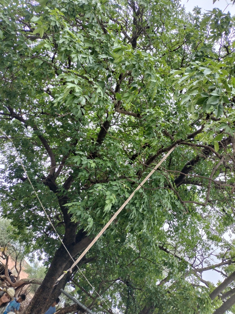 Something from 20369 Ags., México on August 19, 2023 at 10:58 AM by ...