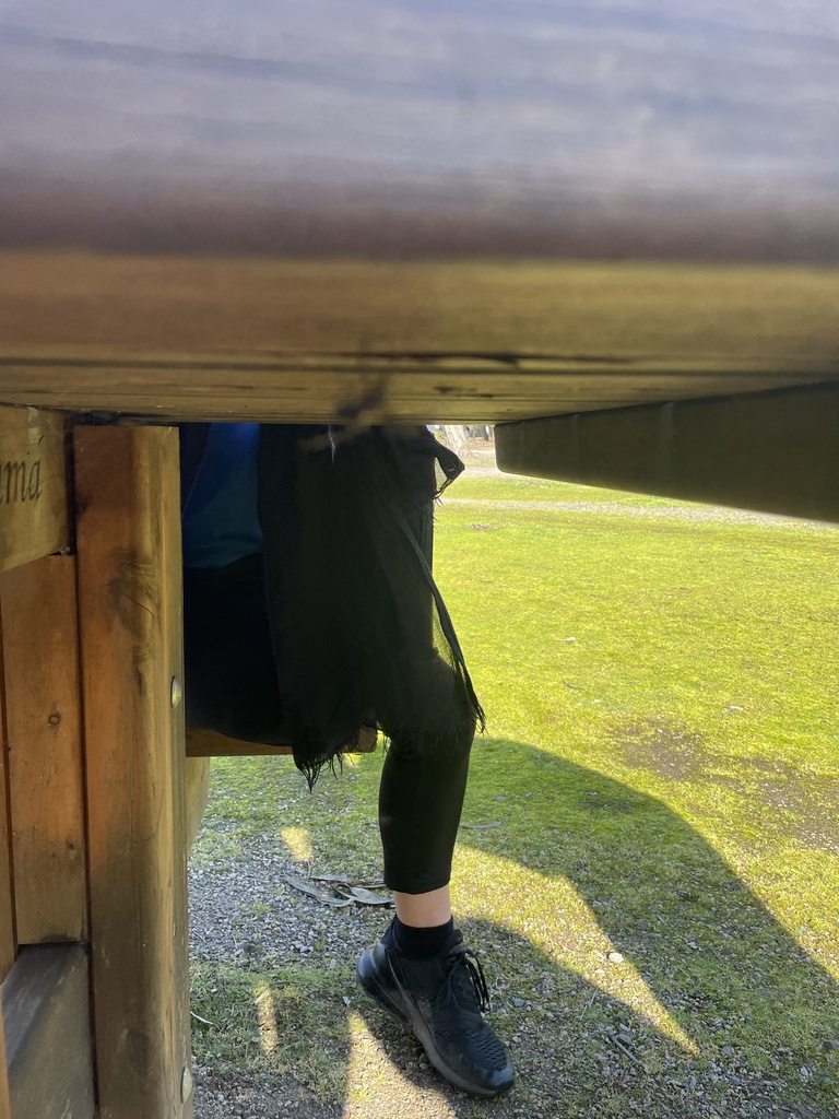 Human from Braeside Park, Braeside, VIC, AU on August 24, 2023 at 09:30 ...