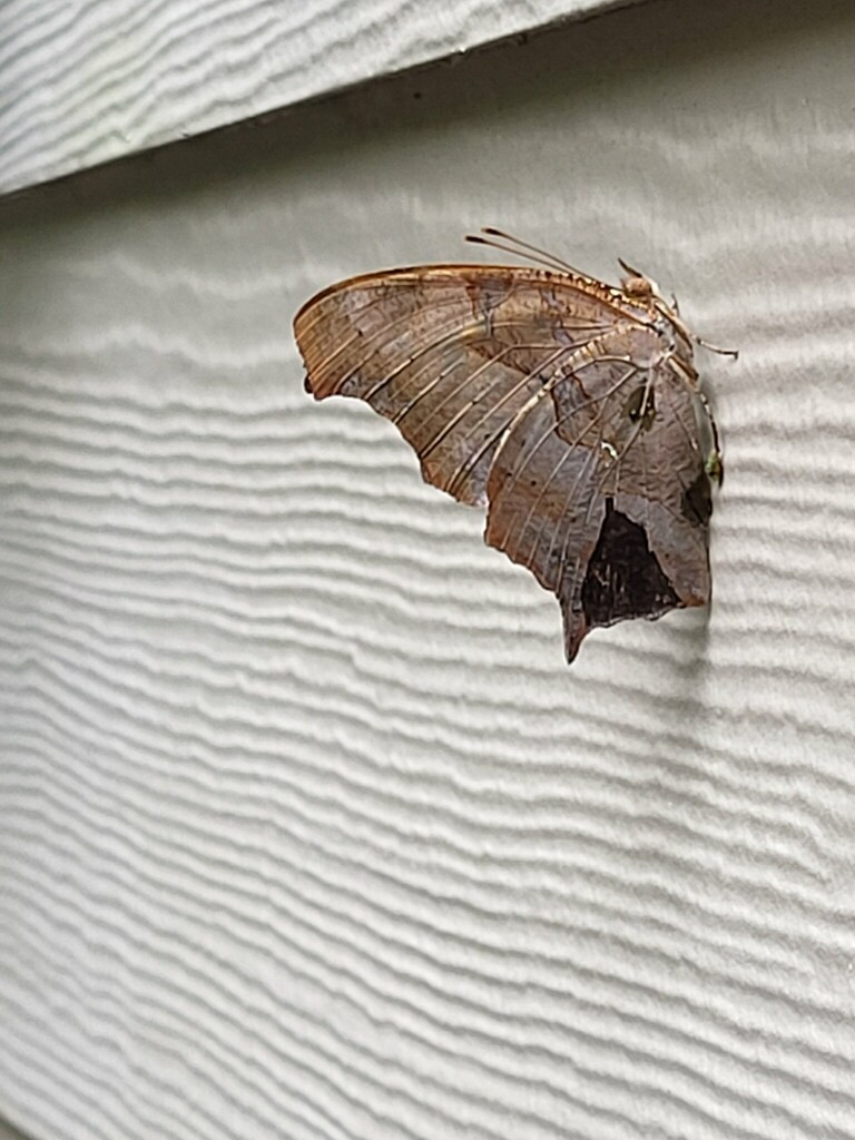 Question Mark from Virginia on August 28, 2023 at 02:59 PM by keithg ...