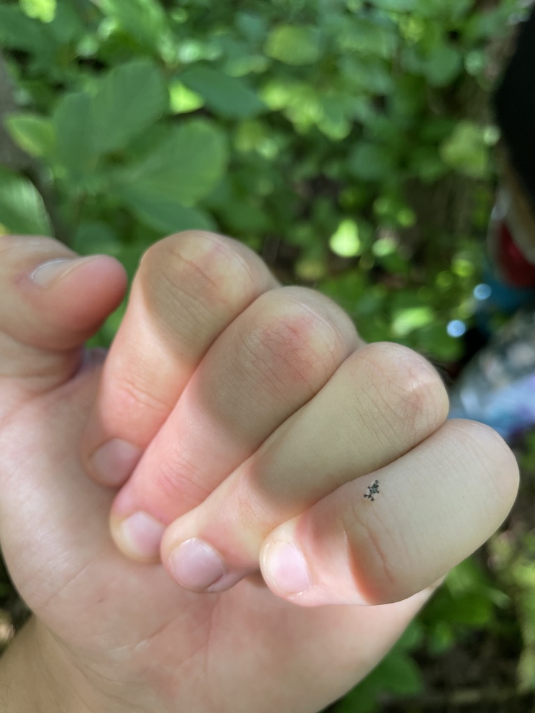 Tingini from College Woods And Reservoir, Durham, NH, US on August 29 ...