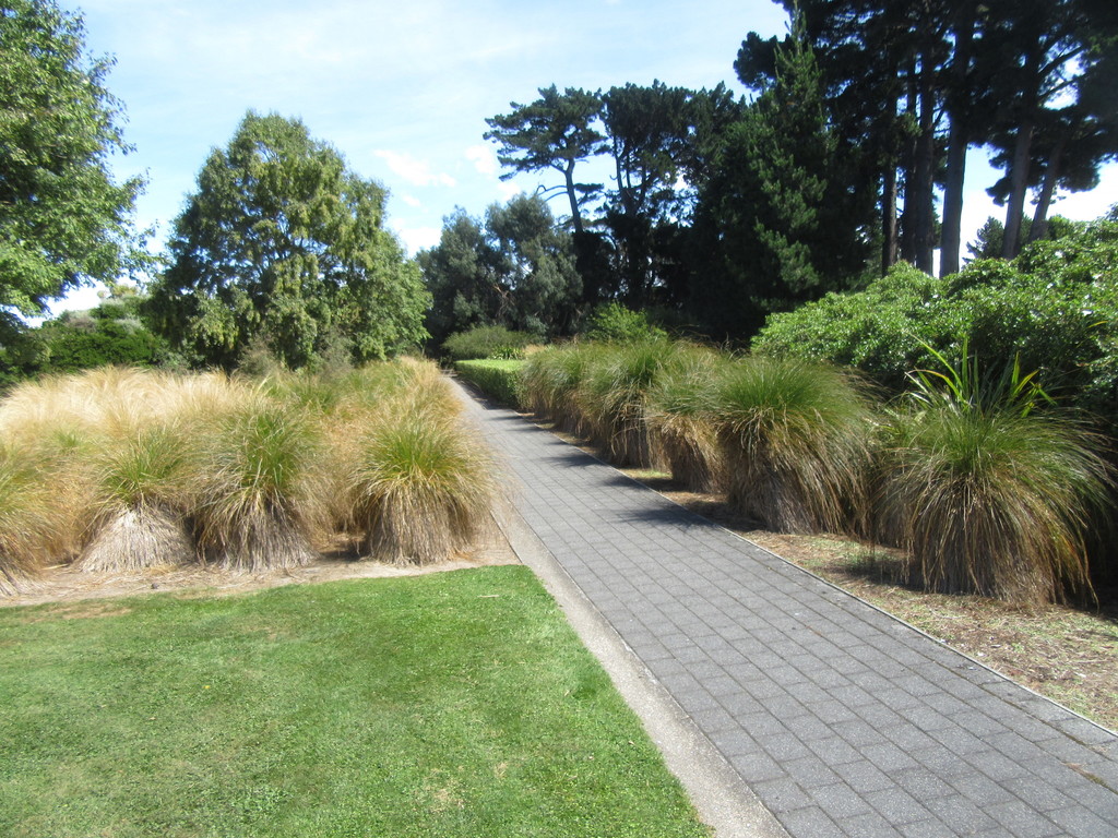 Pukio from Queens Park, Invercargill 9810, New Zealand on February 13 ...