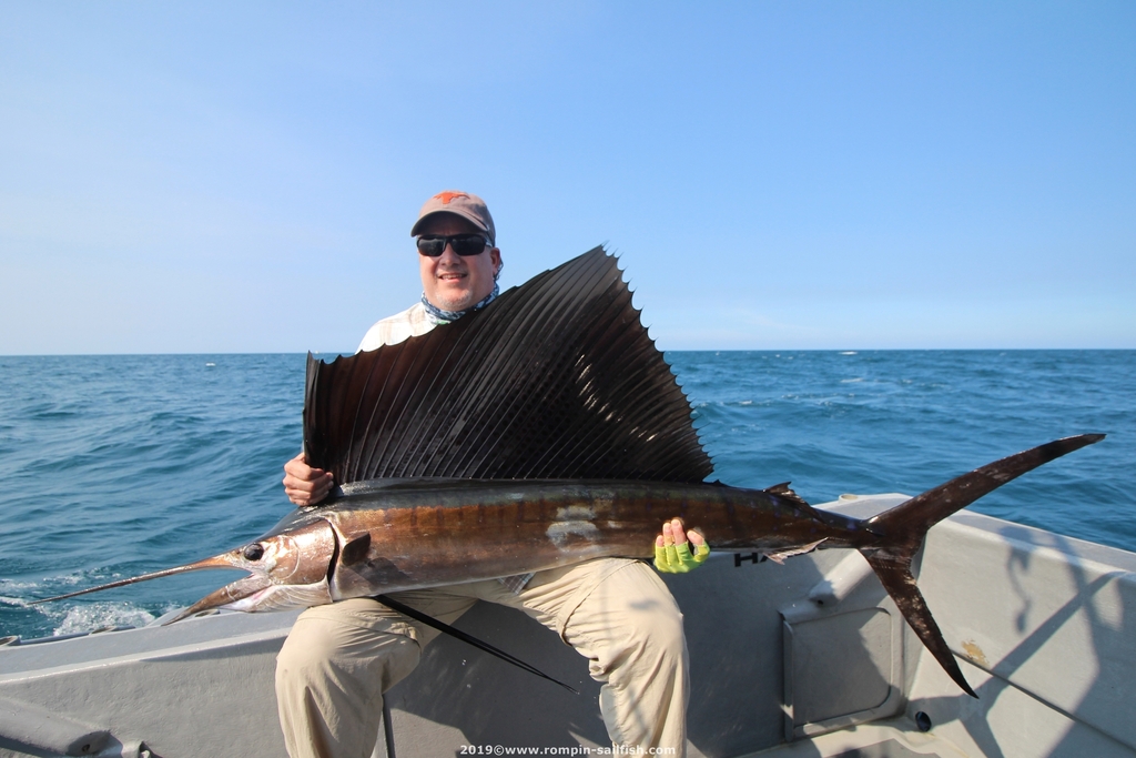 Sailfish in March 2019 by Greg DeMars · iNaturalist