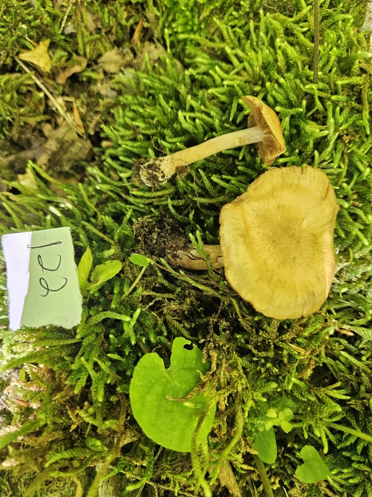 Webcaps from Westmoreland County, US-PA, US on September 1, 2023 at 01: ...