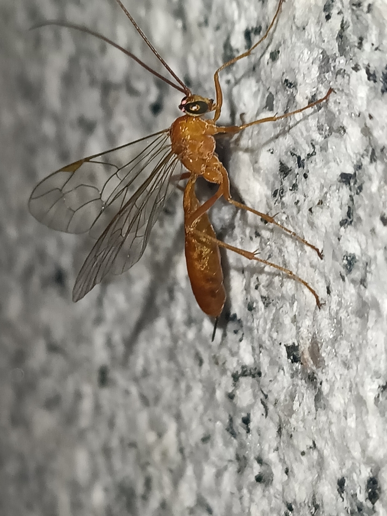 Netelia from Qingdao, CN-SD, CN on September 4, 2023 at 10:04 PM by ...