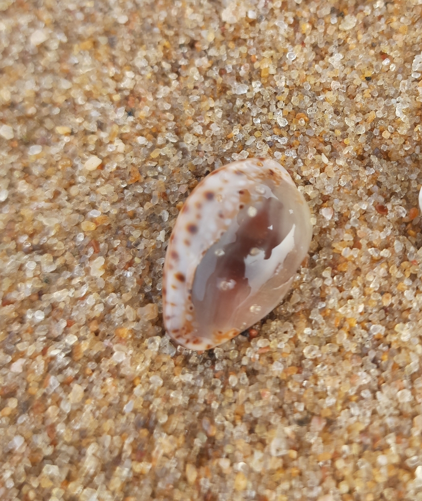 Naria from P8CQ+767, Jalari Peta, Visakhapatnam, Andhra Pradesh 530017 ...