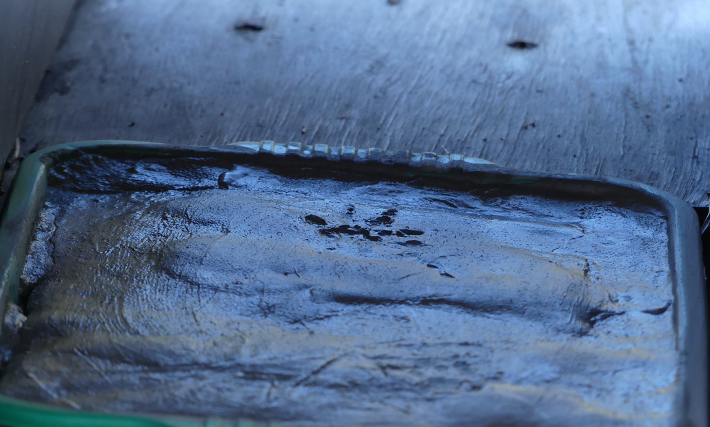 Pyrenean Desman in May 2016 by Jean-Dominique LEBRETON. Galemys ...